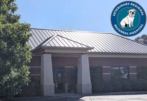 Best Veterinary Hospital In Decatur, AL 35601 | Veterinary Regional ...